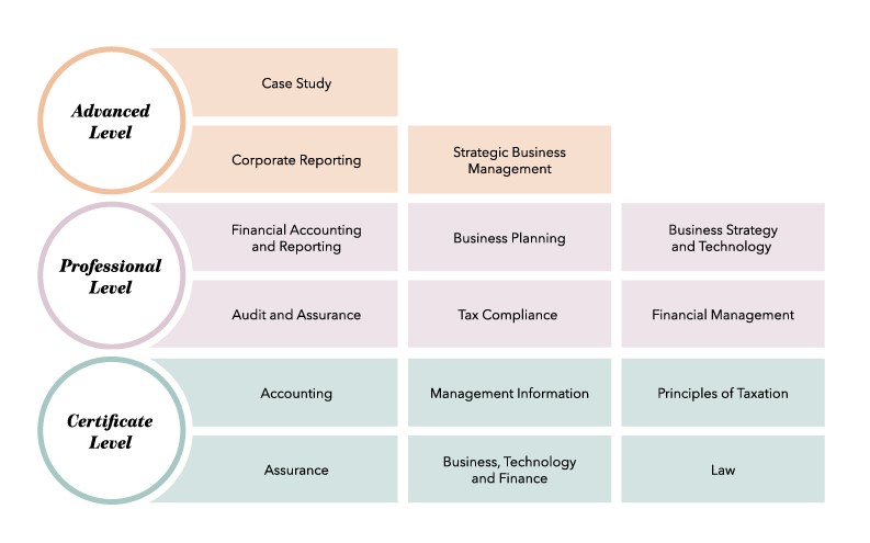 Accounting and ACA – Brainthrough